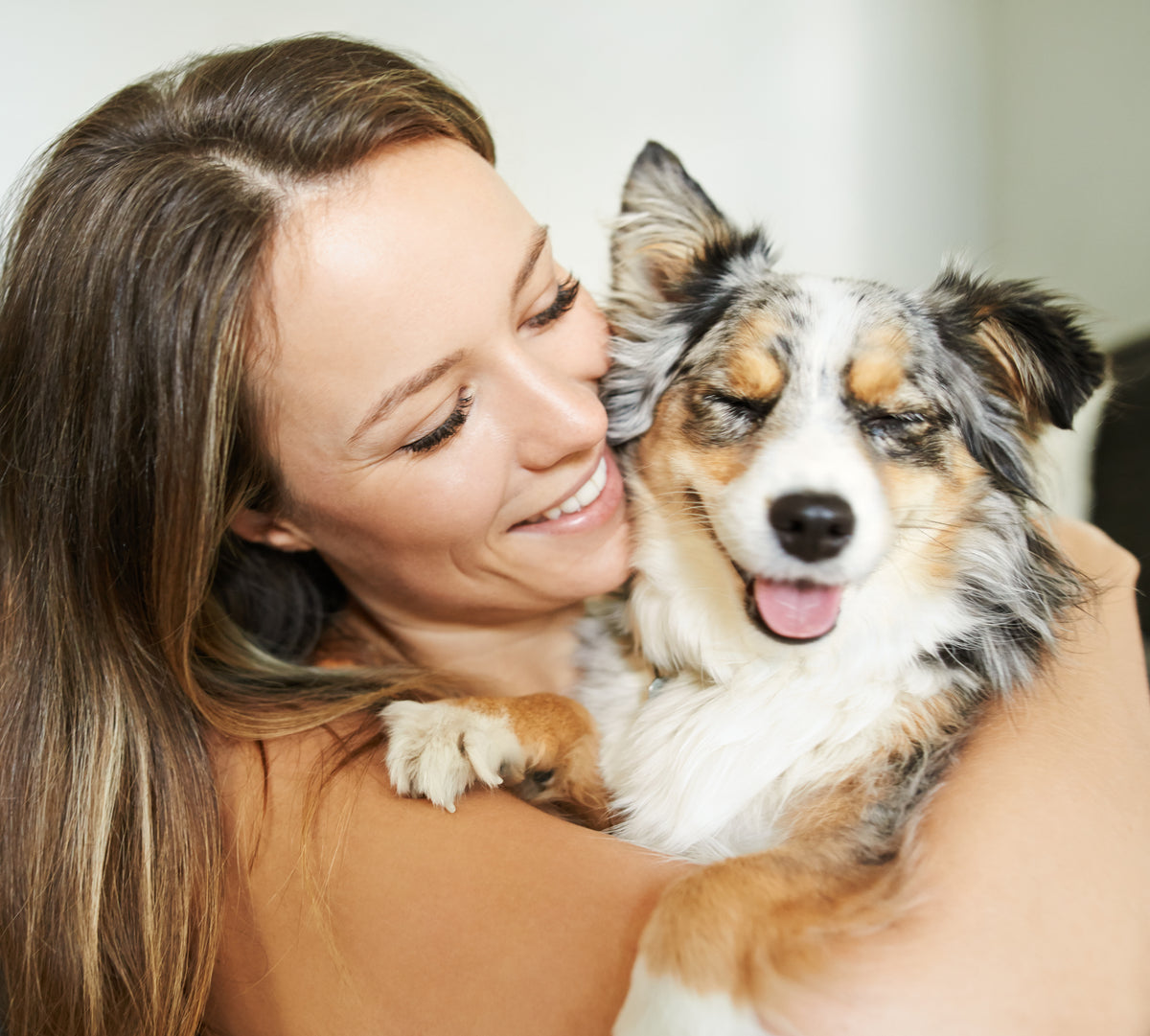 INTEST.pro DOGS - Darmflora deines Hund analysieren – BIOMES